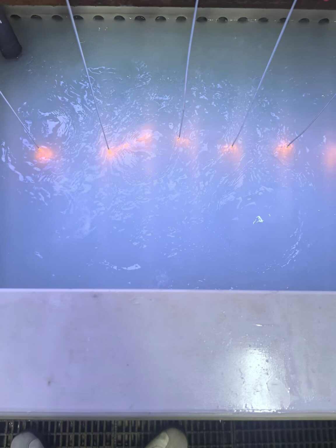 Flansche verstehen: Ein umfassender Leitfaden - Precionn